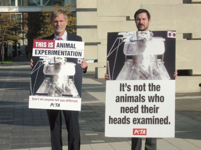 Over 90% of Animal Experiments Fail to Lead to Human Treatments